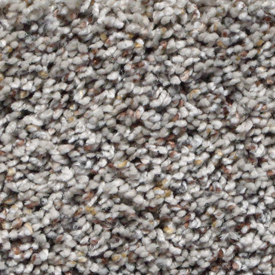 1 – Carpet Express