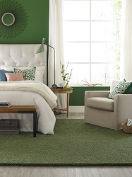 Shaw Color of the Year 2017 – Lush – Carpet Express