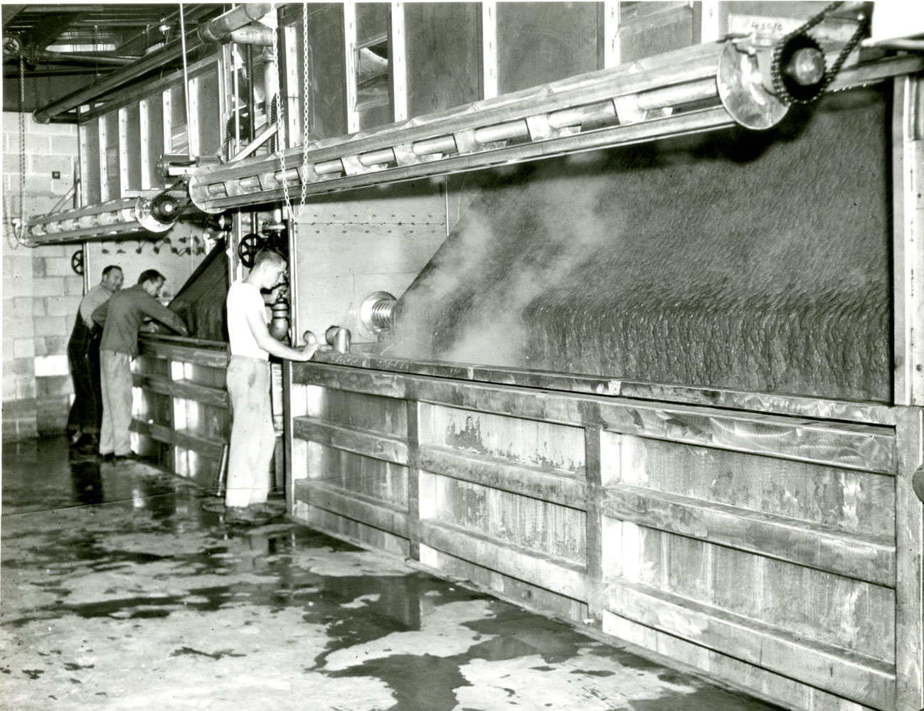 The History of Carpet – Carpet Express