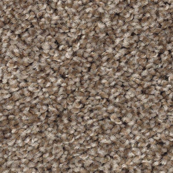 TONAL ALLURE | Mohawk Carpet | Shop from Home & Save! at Carpet Express