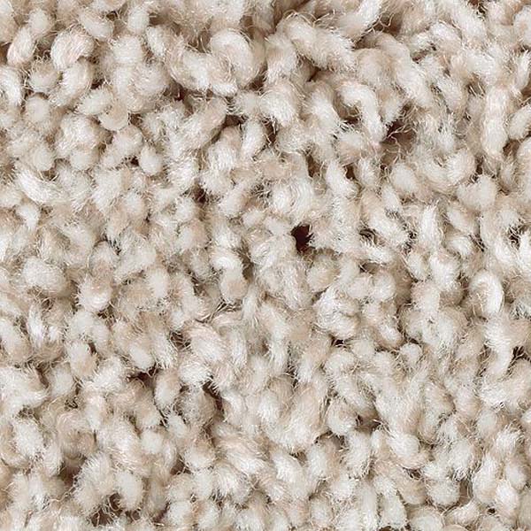 True Charm | Mohawk Carpet | Shop from Home and Save!