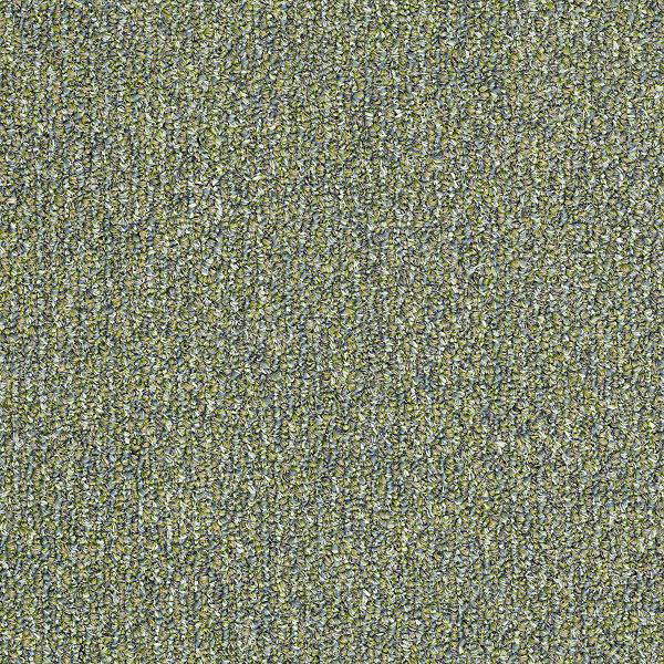 Natural Path | Shaw Carpet | Shop from Home & Save!