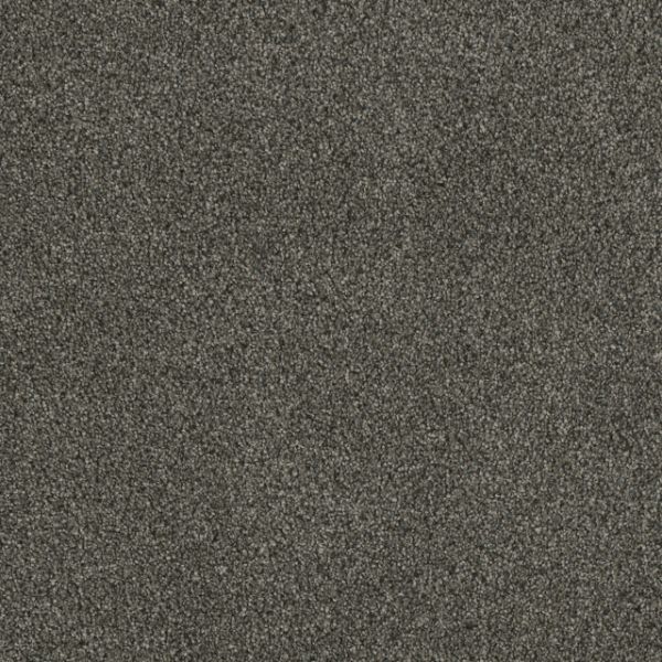 Luxor III | Dreamweaver Carpet | Shop from Home & Save! at Carpet Express