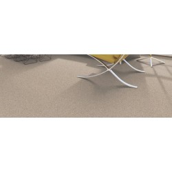 Natural Splendor I | Mohawk Carpet | Shop from Home & Save!